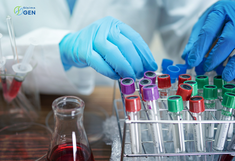 Gen Di Truyền Là Gì? Tầm Quan Trọng Trong Nghiên Cứu Gen